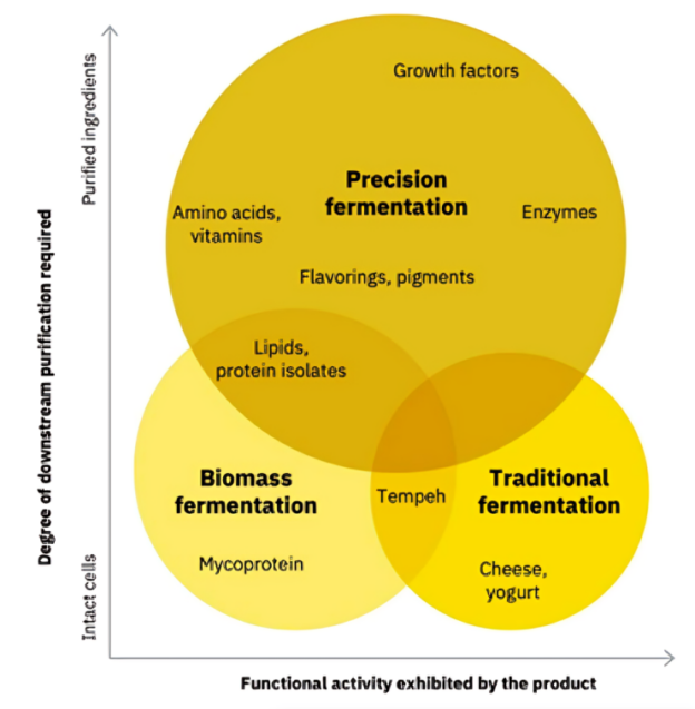 Making Tasty and Nutritious Meat Alternatives with Fermentation | The ...