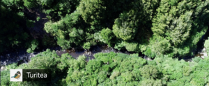 The TURITEA project – Te Taha Tawhiti