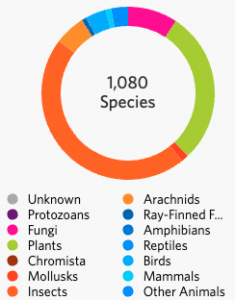 The TURITEA project – Te Taha Tawhiti