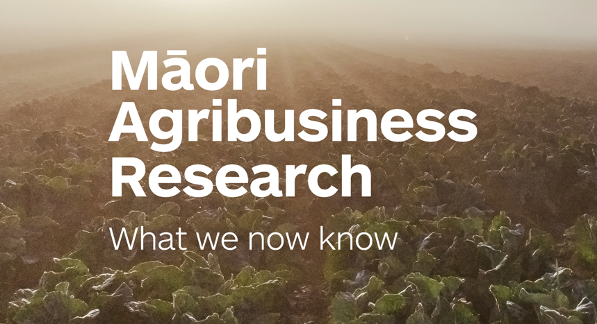 Māori Agribusiness Research: What we now know - Te Au Rangahau | Māori ...